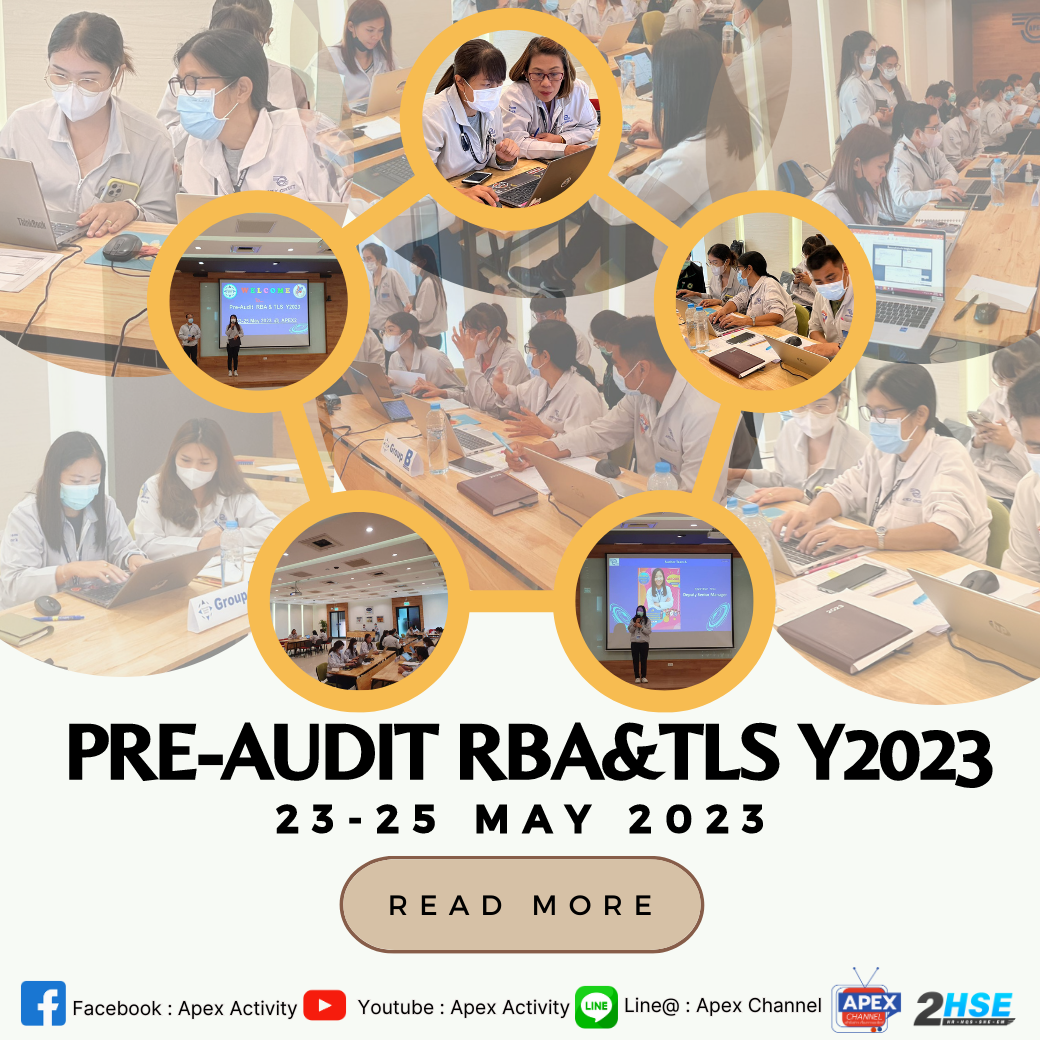 Pre Internal Audit Program RBA&TLS| First Day – MIS INFORMATION