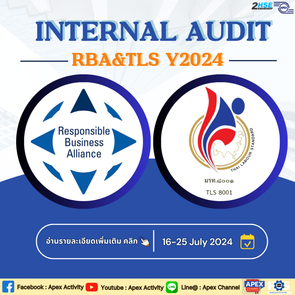 Internal Audit RBA & TLS Apex Group วันที่ 16-25 July 2024 – MIS ...