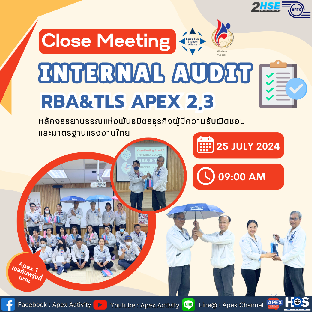 Close Meeting Internal Audit RBA & TLS Apex 2,3| HQS 26 July 2024 – MIS ...